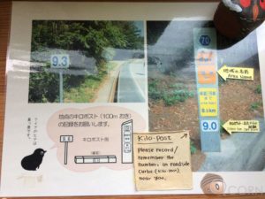 Okinawa Rail – Yambaru Nature Guide Wanyu