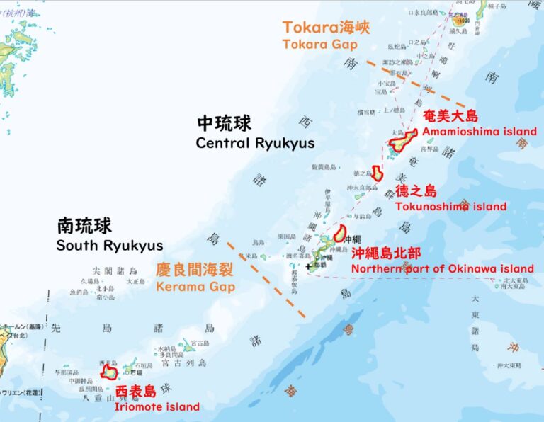 World Natural Heritage Sites – Yambaru Nature Guide Wanyu